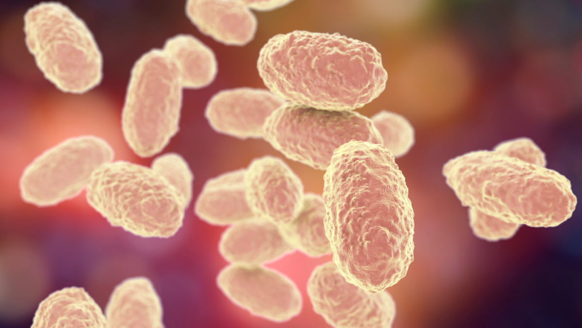 Gonfiore linfonodi: da cosa dipende e a chi rivolgersi?